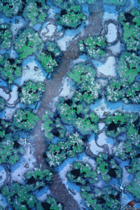 Snowy Forest Path Vol. 6 - D&D Map for Roll20 And Tabletop - Dice Grimorium